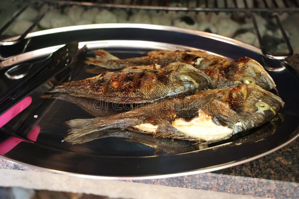 Grilled Sea Fish Stands on the Table Stock Image - Image of shrimp ...