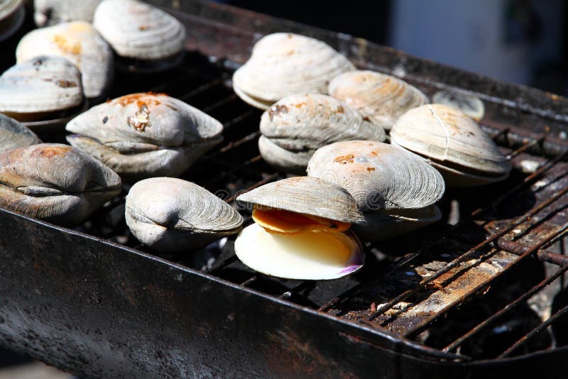 Grilled Shellfish stock image. Image of grilled, smoking - 24241751