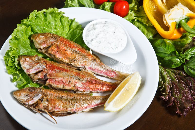 Grilled Shrimp stock image. Image of dining, restaurant - 43022165