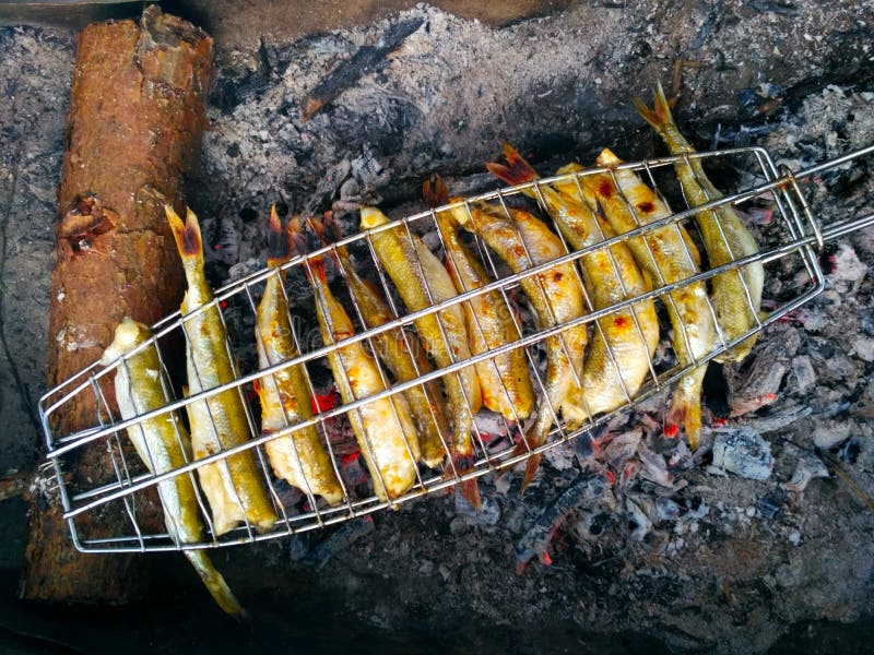 Grilled smelt fish stock image. Image of fish, smelt - 191633837
