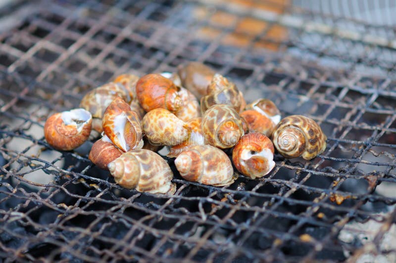 Grilled Sea Snails at Taiwan Stock Image - Image of looks, sold: 35565079