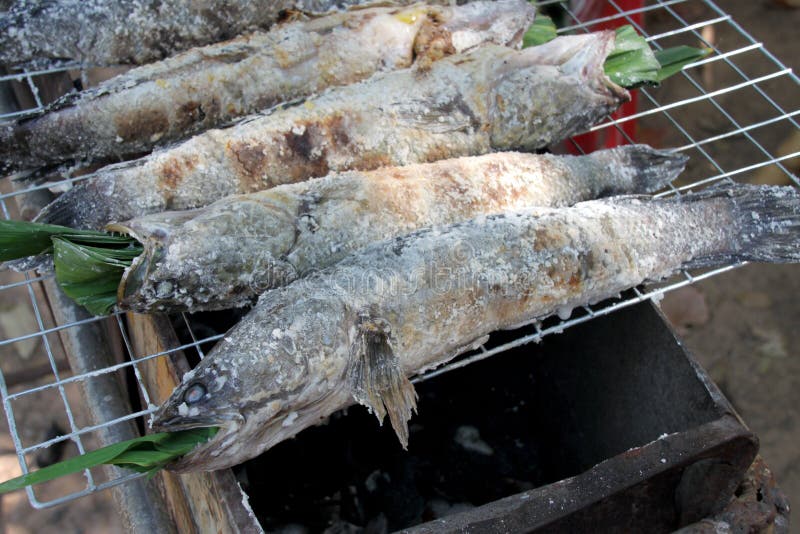 Grilled snake-head fishes stock photo. Image of arranged - 92806570