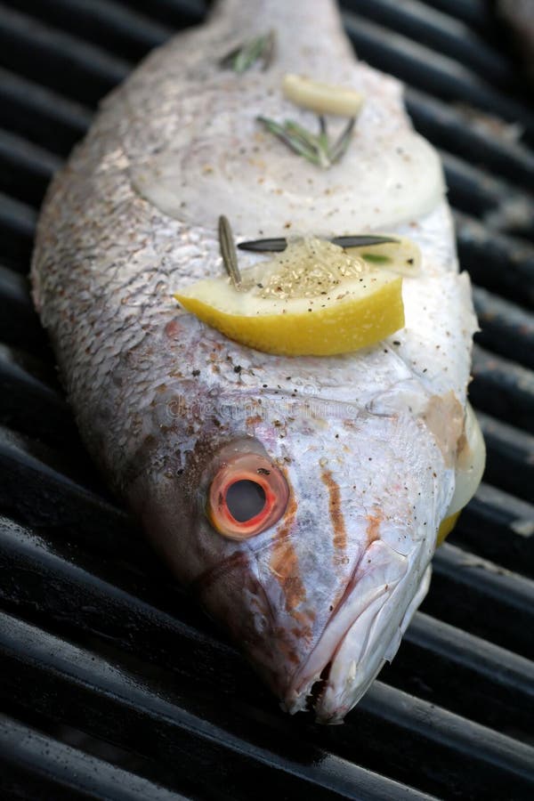 Grilled Snapper stock photo. Image of summer, snapper - 2429598