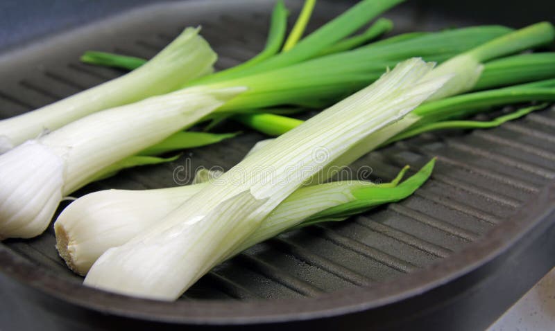 Grilled Spring Onion Picture. Image: 22437735