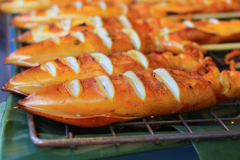 Grilled Squid. stock image. Image of thailand, animal - 50287501