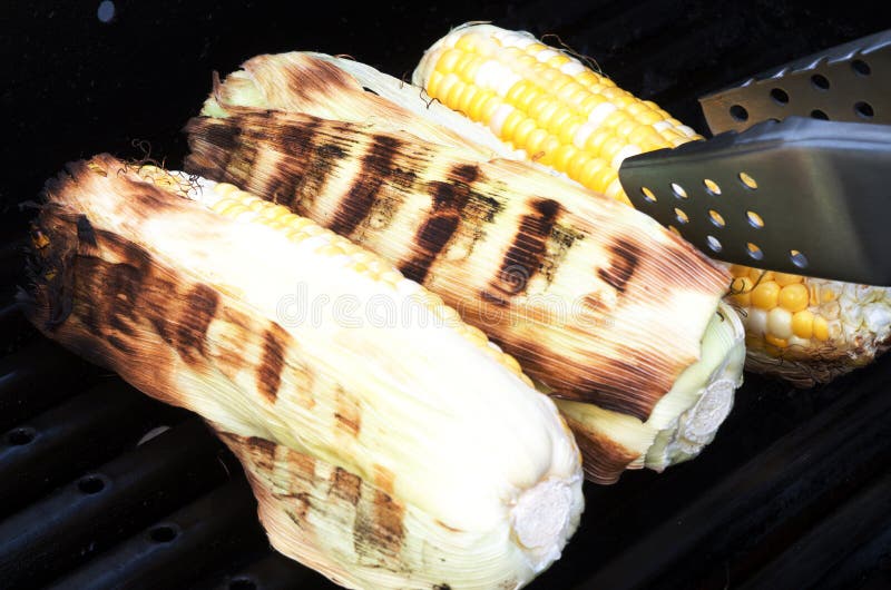 Grilled sweet corn BBQ stock photo. Image of outdoor - 31755802