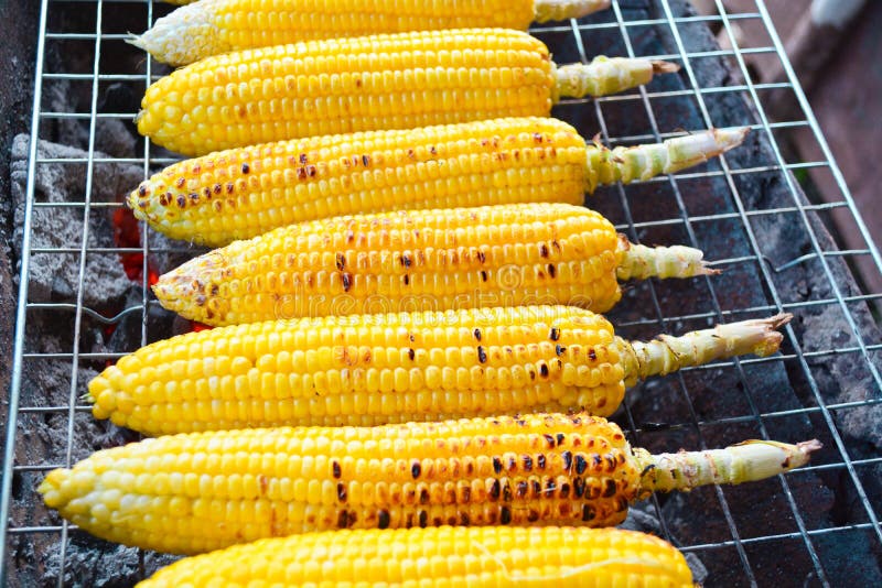 Grilled sweet corn stock image. Image of organic, delicious - 50898599