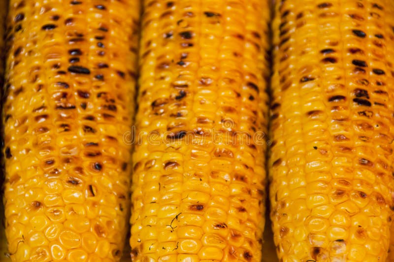 Grilled sweet corn. stock photo. Image of cereal, delicious - 32929248