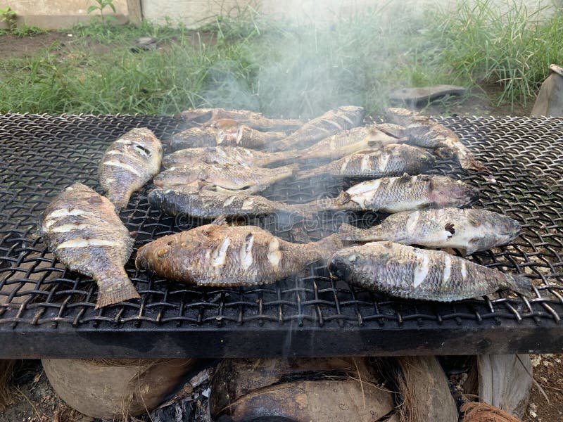 Grilled Tilapia Fish with Coconut Husk Which Has a Lot of Smoke Stock ...