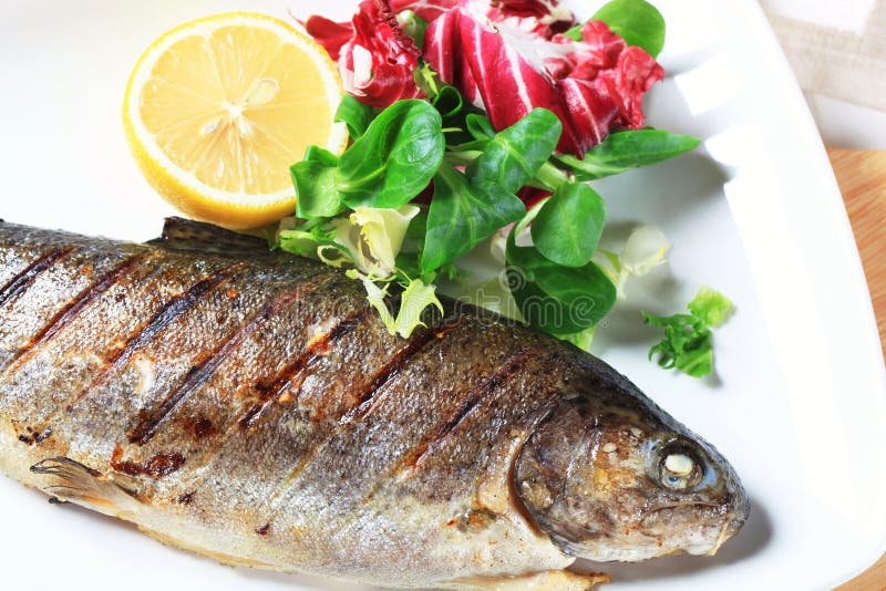 Grilled trout stock photo. Image of lunch, greens, nutrition - 33774278