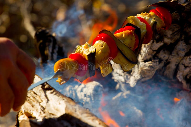 Grilled Vegetables Kebab in the Open Fire on Stick Stock Image - Image ...