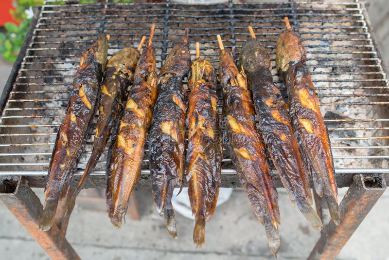 Grilled Walking Catfish. Grilled Fish Stock Image - Image of charcoal ...