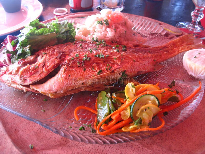 Grilled Whole Fish with Steamed Vegetables, Rice, and Fresh Herbs Stock ...