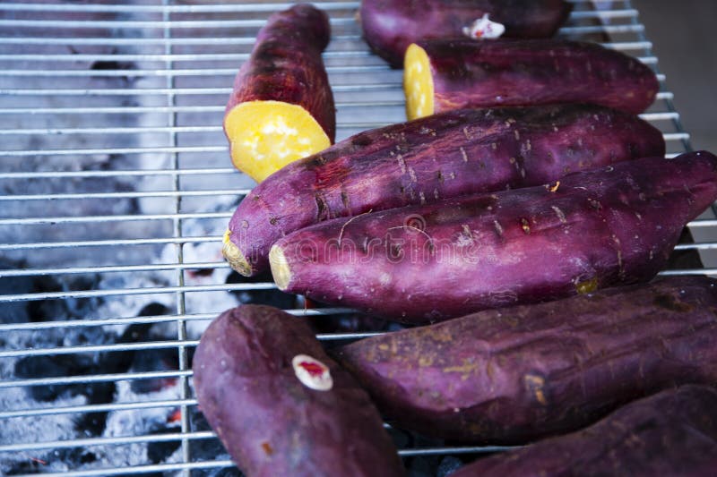Grilled yam stock image. Image of pace, kiln, parch, cooker - 48574807