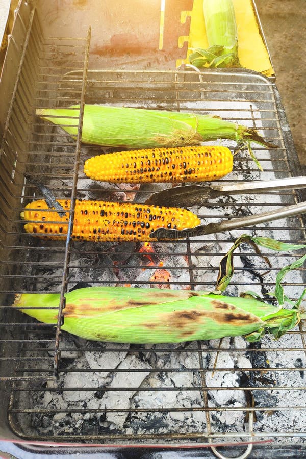 Grilled Young Corn, Slightly Burnt Grilled Green Corn Stock Image ...