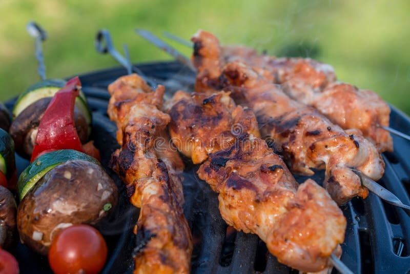 Grillet Meat and Vegetables on Grill in Campsite Stock Image - Image of ...