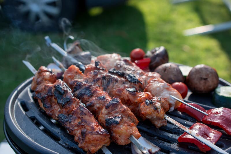 Grillet Meat and Vegetables on Grill in Campsite Stock Photo - Image of ...
