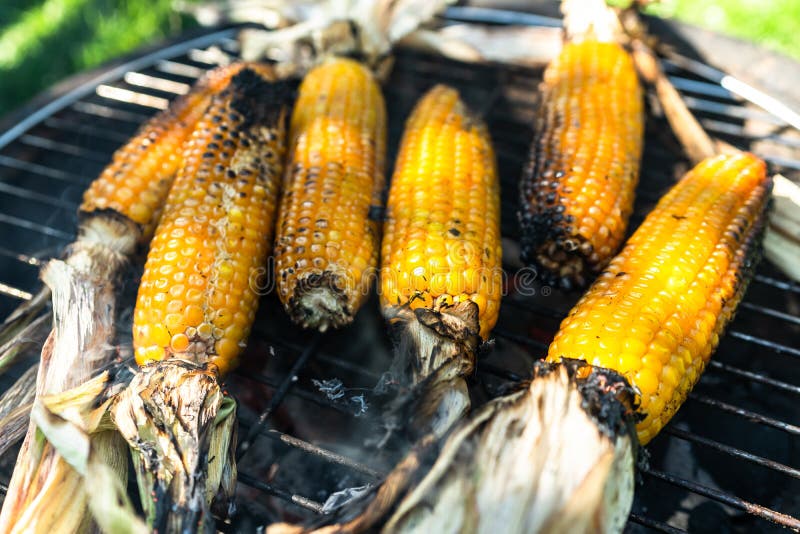 Grilling Corn on the Cob on Hot Coal in Bbq Stock Photo - Image of ...
