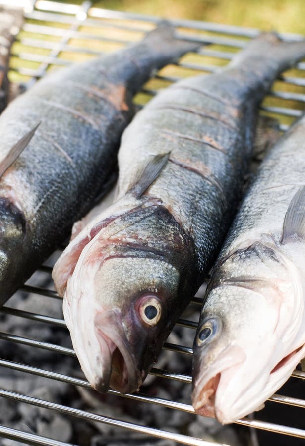 Fish stock image. Image of fish, carefree, concept, moving - 3996075