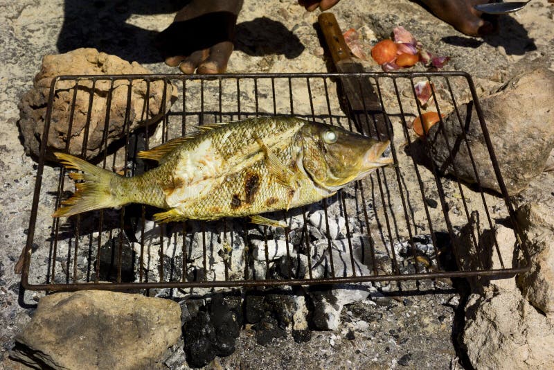 Grilling fish on the beach stock image. Image of health - 23471535