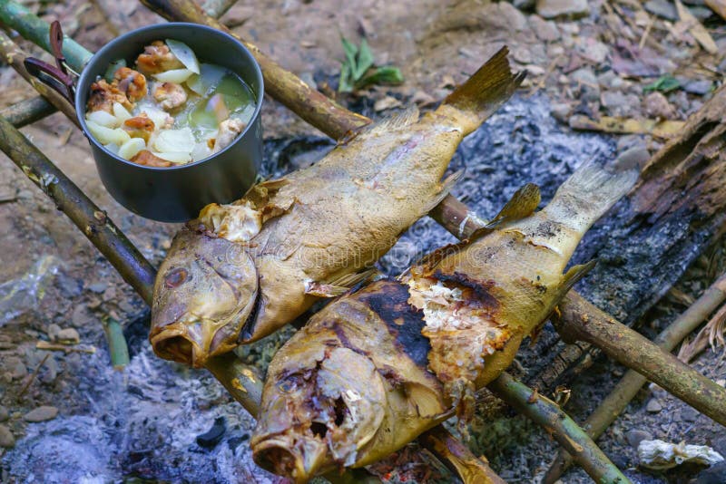 Grilling Fish and Boiling Cooking Pot with Soup on Campfire in Forest ...