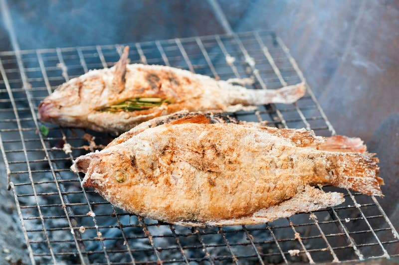 Grilling fish on campfire stock image. Image of grill - 25927413