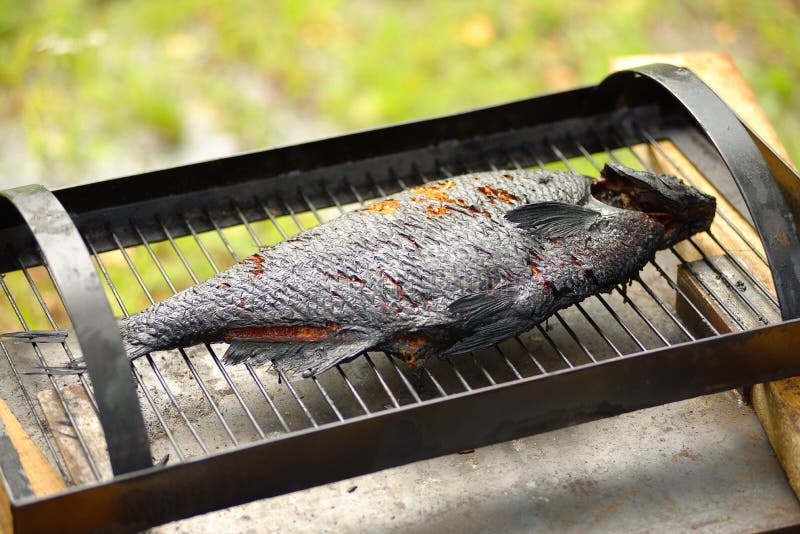 Grilling Fish On Campfire In Forest. Stock Image - Image of mountain ...