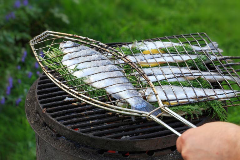 Grilling Fish on Campfire. the Process of Grilling Trout Stock Photo ...