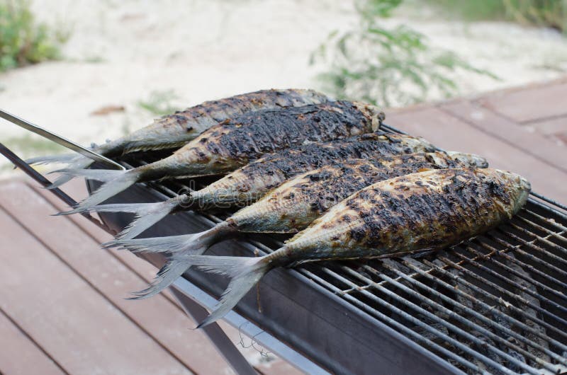 Grilling fish stock image. Image of roast, fish, barbecue - 35917703