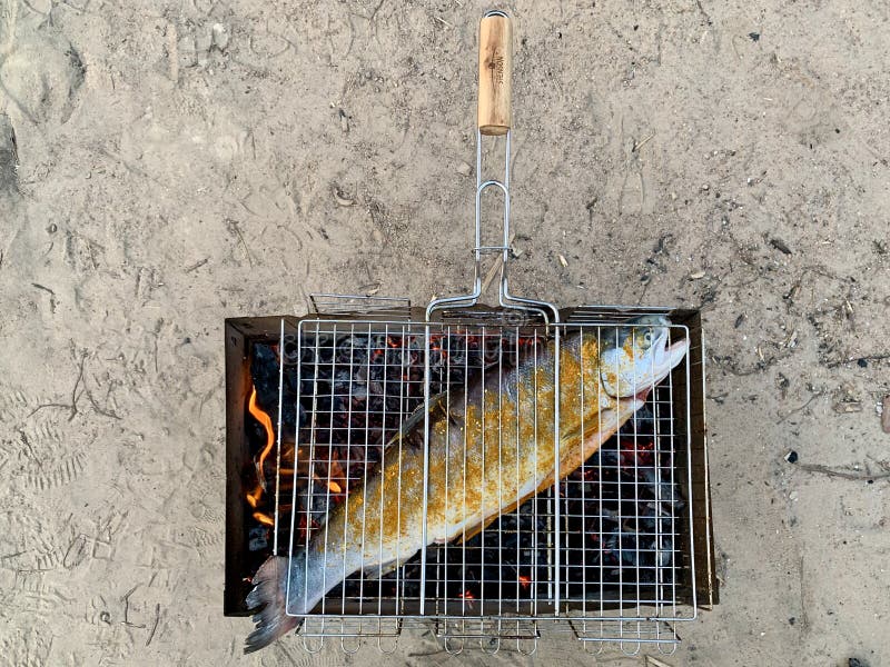 Grilling Fish during a Picnic. Roasting Salmon on Burning Coals in the ...