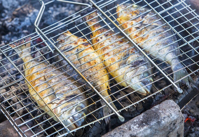 Grilling fish stock image. Image of burning, roast, outdoor - 99000217