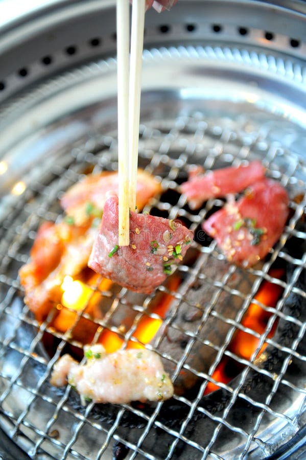 Grilling Fresh meat stock image. Image of fresh, chicken - 22428189