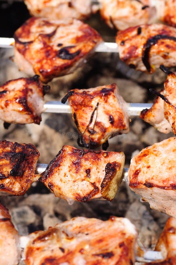 Grilling meat. stock photo. Image of grass, garden, dinner - 24677636