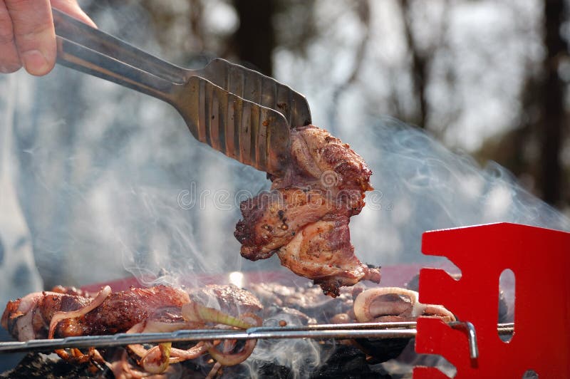 Grilling meat stock photo. Image of holding, outdoors - 9021536