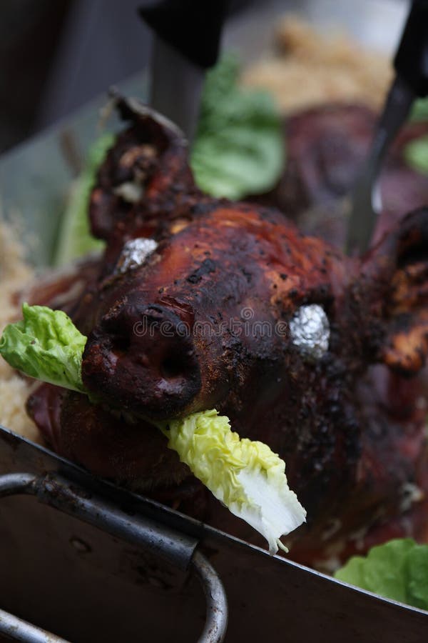 Grilling pig stock photo. Image of grill, pork, meat - 56169368