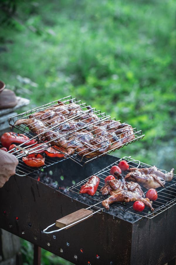 Grilling poultry quails stock photo. Image of barbecue - 141501034