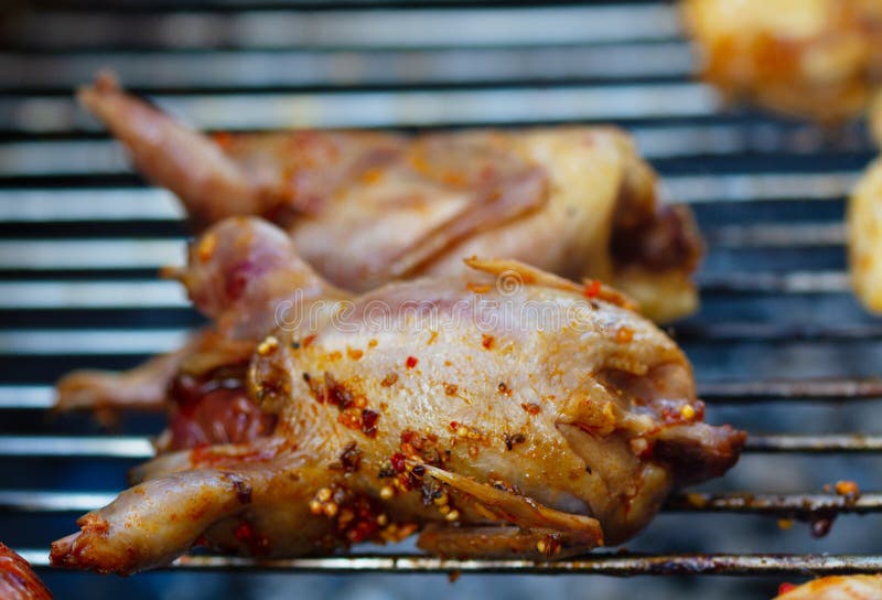 Grilling quail, close up stock image. Image of roast - 219560659