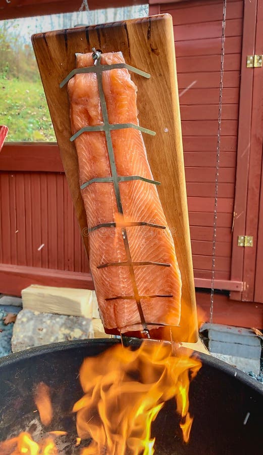 Grilling Salmon on an Open Fire in Sweden Stock Photo - Image of heat ...
