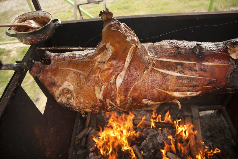 Grilling small pig stock image. Image of garden, fire - 19532311