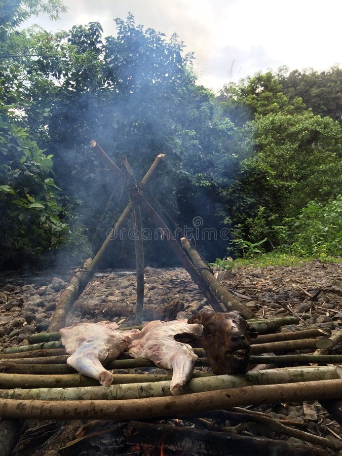 Grilling in the wild stock photo. Image of concept, grilling - 61825014