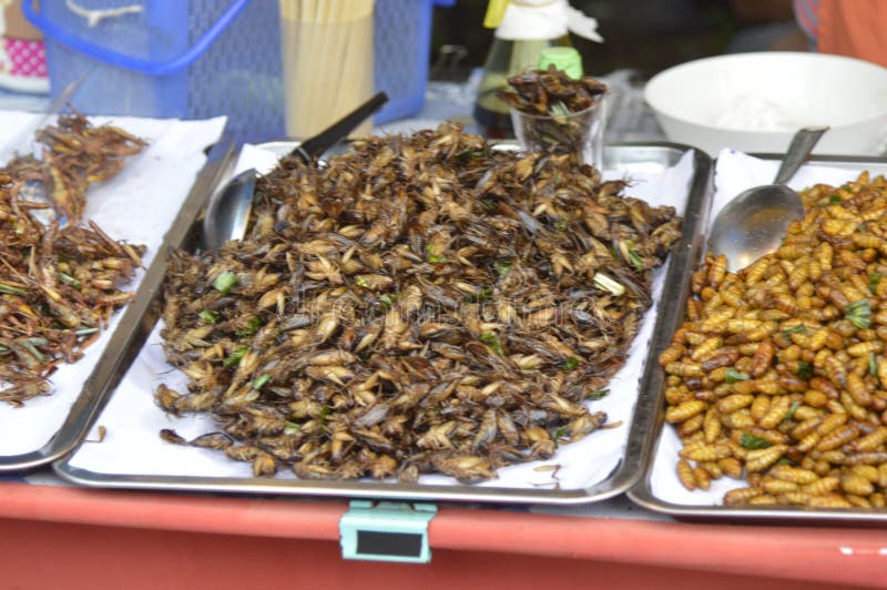 Insectos Fritos De Las Langostas De Los Molitors De Los Grillos Foto de ...