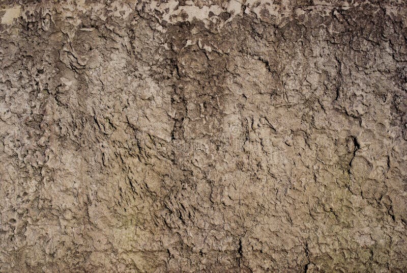 The Grim Brown Embossed Texture Stock Photo - Image of topography, form ...