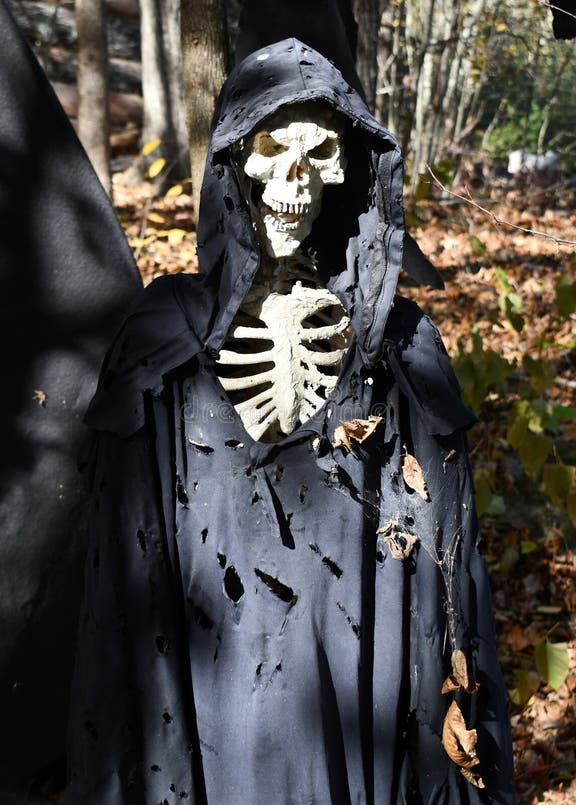 Grim Reaper II stock photo. Image of bone, animal, gothic - 341502568
