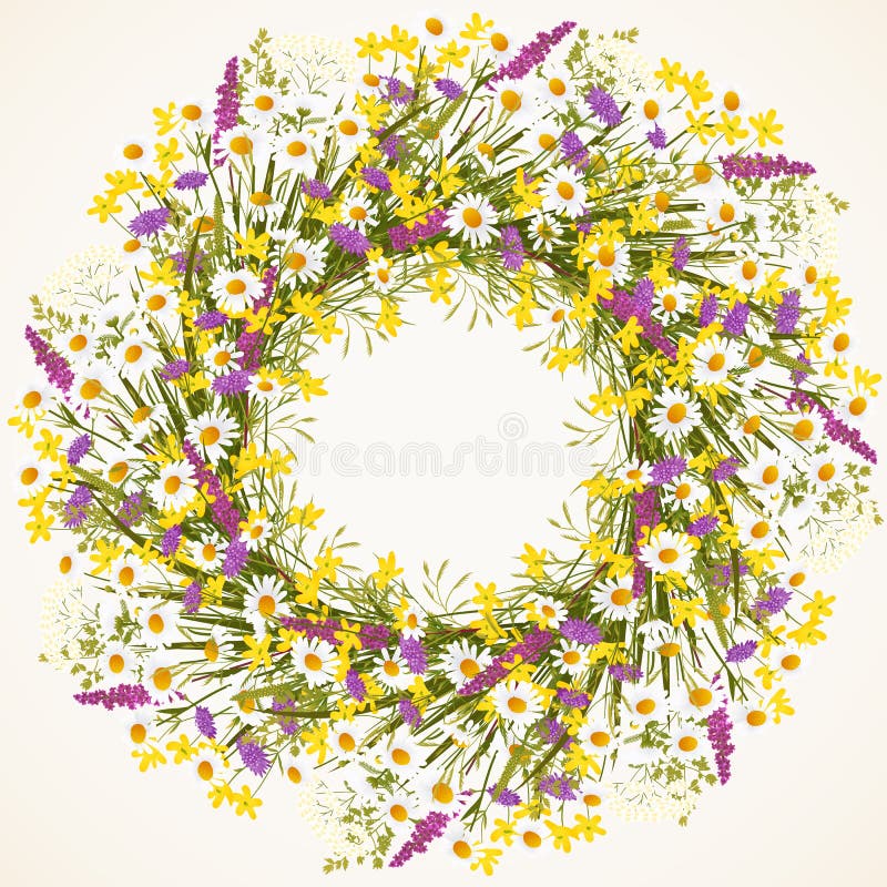 Grinalda da flor selvagem ilustração do vetor. Ilustração de margarida ...