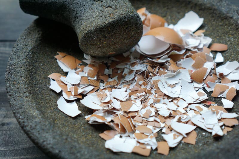 Grind Egg Shells in a Mortar Stock Image - Image of crushed, fertilizer ...