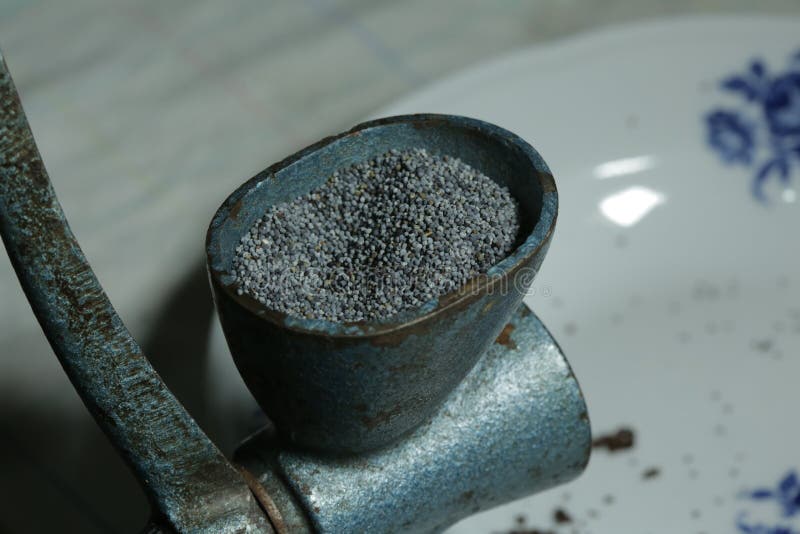 Grind Poppy with Grind Machine. Ground Poppy Stock Photo - Image of ...