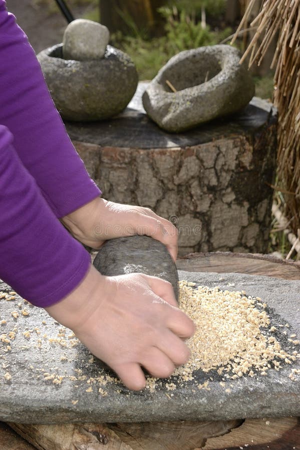 Grind wheat stock photo. Image of hands, traditional - 37829438
