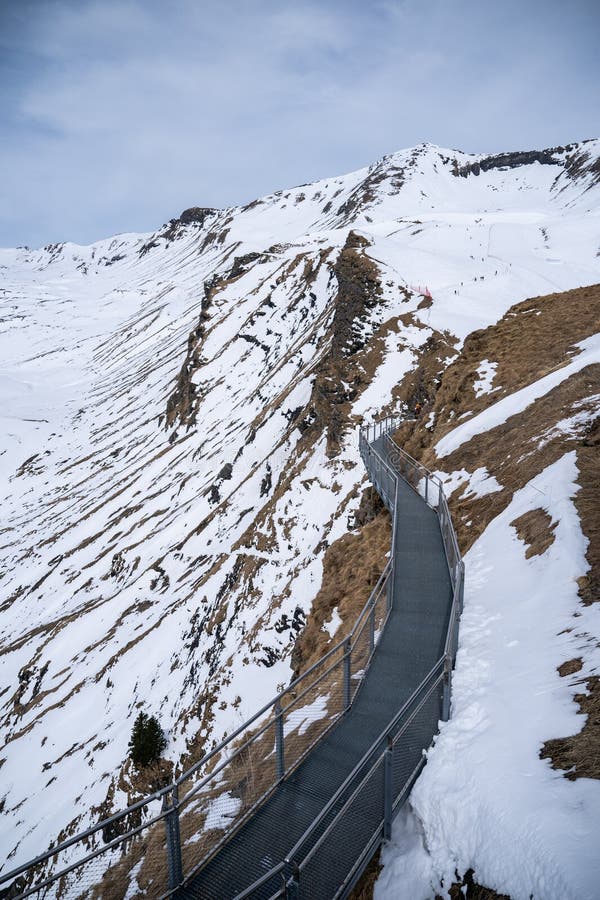 Grindelwald First, Switzerland .First Cliff Walk Viewing Platform on ...
