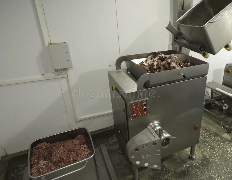 Grinding Meat in an Industrial Meat Grinder. Auger Meat Grinder Stock ...