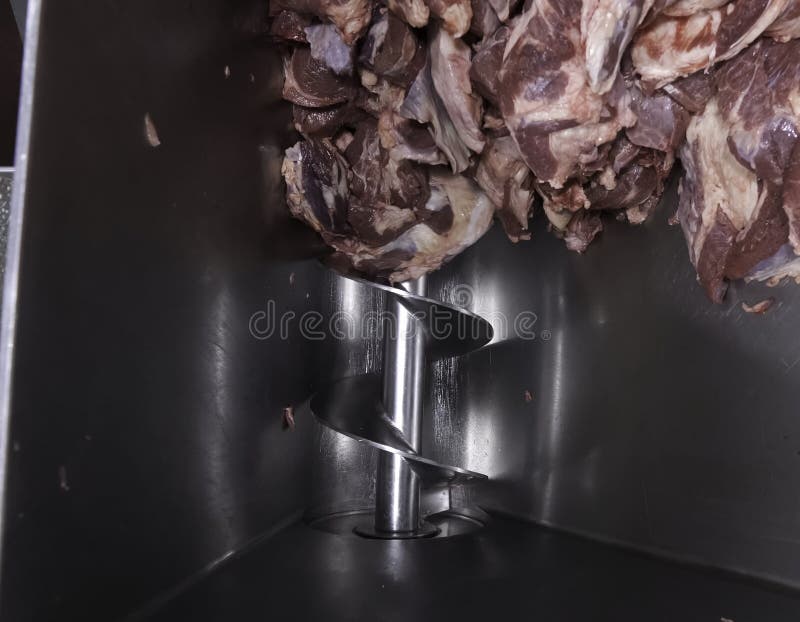 Grinding Meat in an Industrial Meat Grinder. Auger Meat Grinder Stock ...